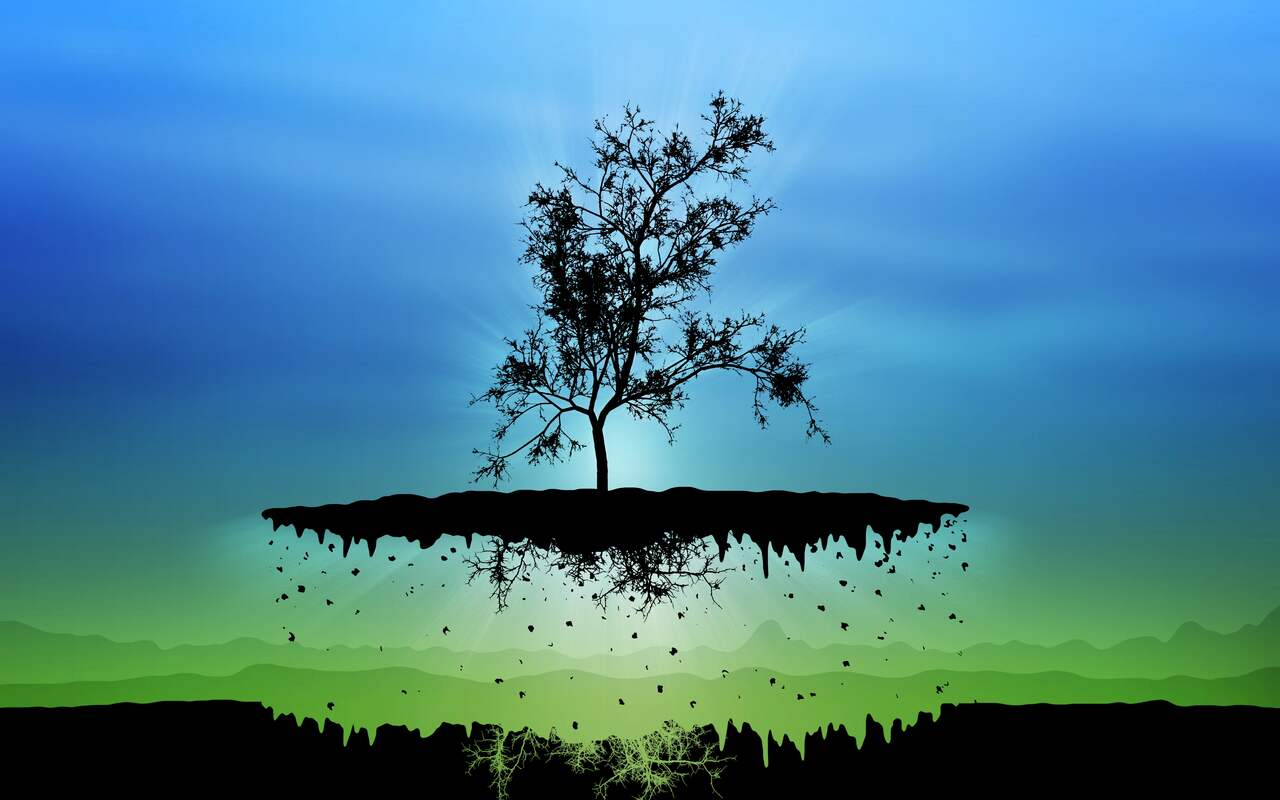 An Optimistic Flying Tree · Vlad.studio