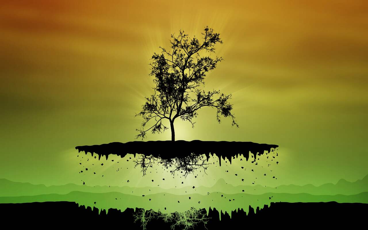 A Romantic Flying Tree · Vlad.studio